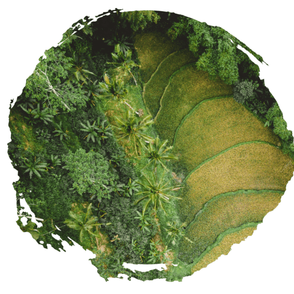 About the Terraso Project | Terraso